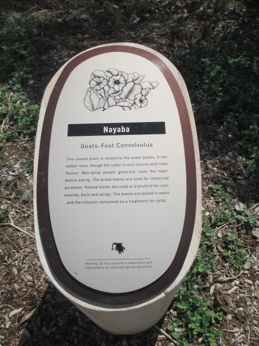 Wulgurukaba People – Ethno-Botanical Trail at Jezzine Barracks ...